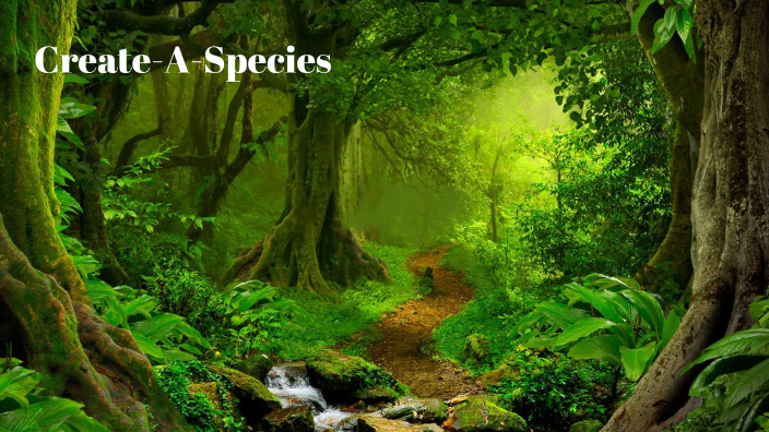 create a species by Katie Nelson on Prezi