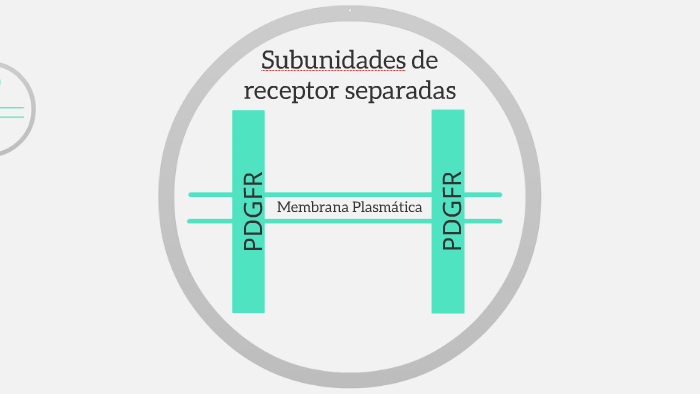 Subunidades de receptor by Matias Bas molinari on Prezi