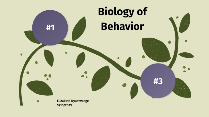 Biology of Behavior by Elizabeth Nyamwnage on Prezi