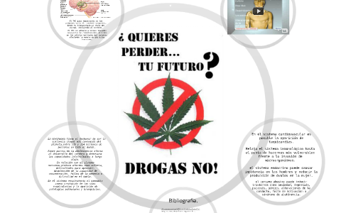 Cómo Afecta La Marihuana Al Cerebro By Marta Rodriguez Alvarez Perez