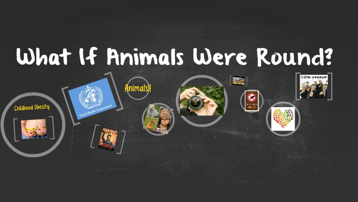 What If Animals Were Round? by Yiting Lin on Prezi