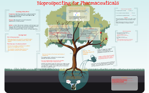 The Economic and Environmental Effects of Bioprospecting for ...