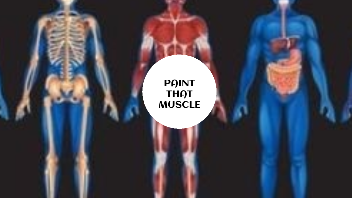 Paint That Muscle by Sole Brown on Prezi