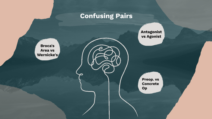 Confusing Pairs AP Psych by Caroline Pangilinan on Prezi