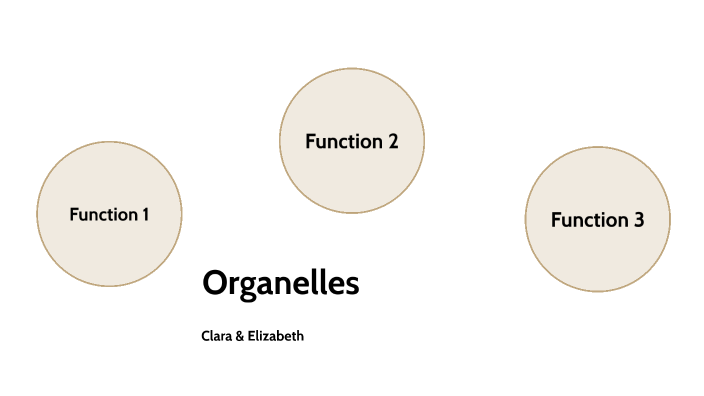 Organelle analogy by Elizabeth Witten on Prezi