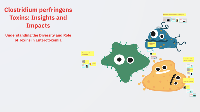 Clostridium perfringens Toxins: Insights and Impacts by Aisan Heyrani ...