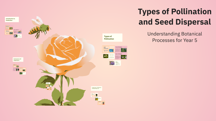 Types of Pollination and Seed Dispersal by Abdullah Lodhi on Prezi