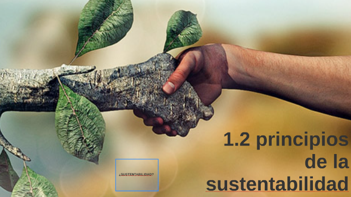 Principios De La Sustentabilidad Principios De La Sus - vrogue.co Principios De La Sustentabilidad Principios De La Sus - vrogue.co