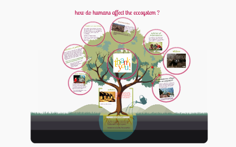 how do humans affect the ecosystem ? by Juliana Ocaña Romero