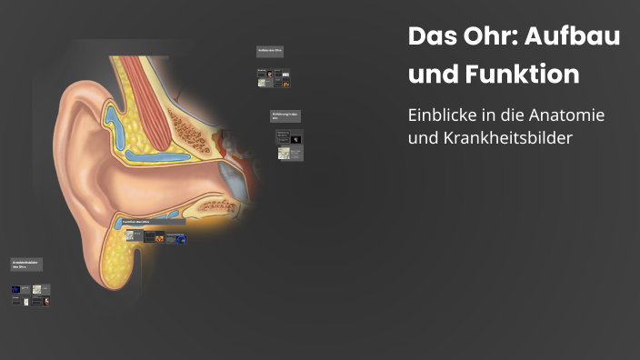 Das Ohr: Aufbau und Funktion by Abdelali Idbraim on Prezi
