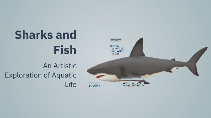 Sharks and Fish by Marla Rivas Richardson on Prezi