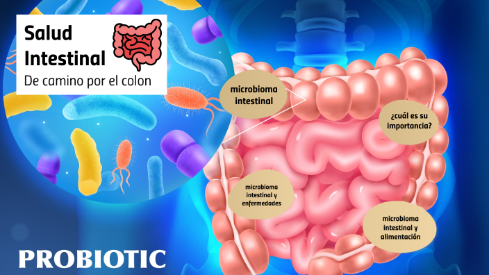Salud intestinal by Andrea Morales on Prezi