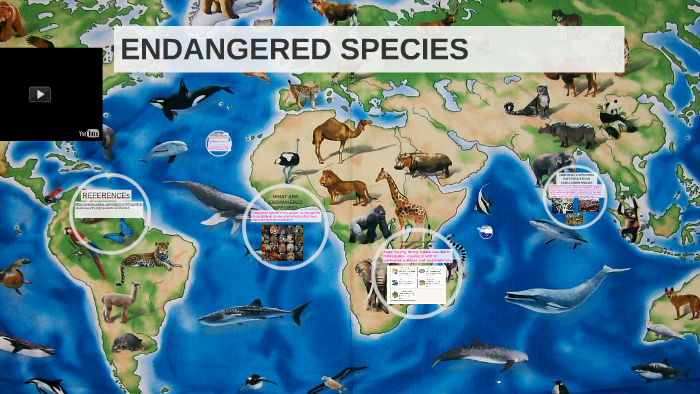 ENDANGERED SPECIES by on Prezi