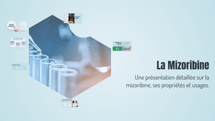 La Mizoribine by Hadeel Mayxr on Prezi