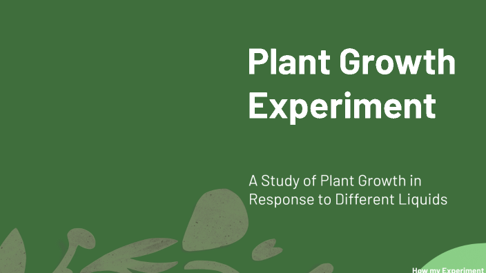 Plant Growth Experiment by JACKSON WHITE on Prezi