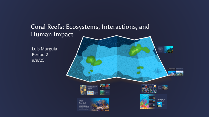 Exploring Coral Reefs: Ecosystems, Interactions, and Human Impact by ...