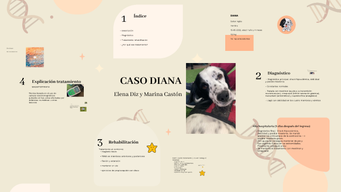 CASO DIANA by Marina Castón on Prezi