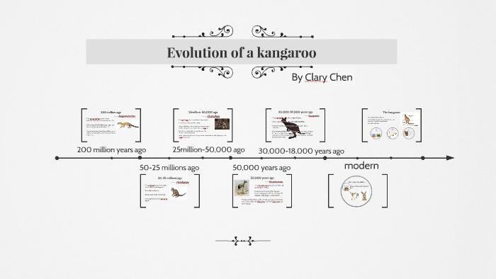Evolution of kangaroo by Clary chen on Prezi