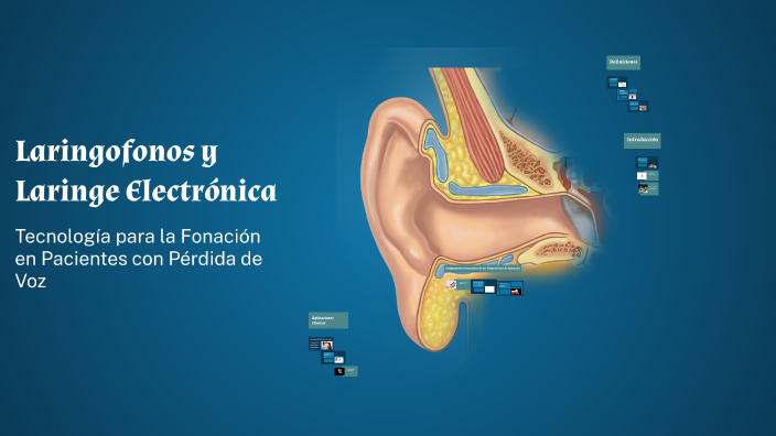 Laringofonos y Laringe Electrónica by elymar tortolero on Prezi