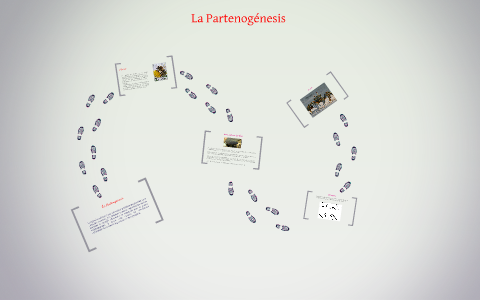 La Partenogénesis by Julián Rendón on Prezi
