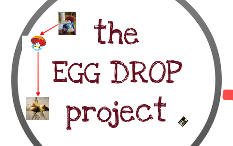 Egg Drop Project by Northeastern University Center for STEM Education ...