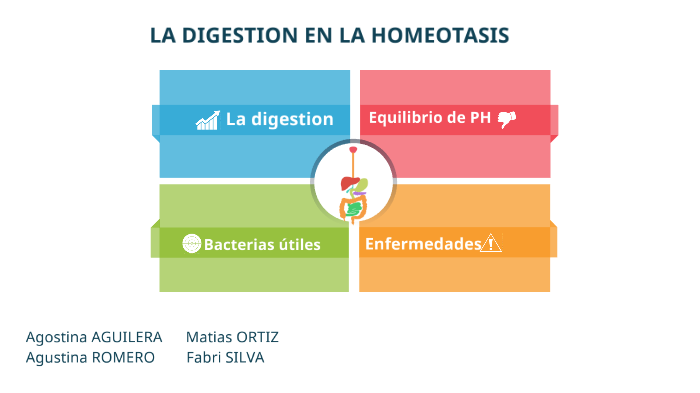 HOMEOSTASIS Y SISTEMA DIGESTIVO by agostina aguilera on Prezi