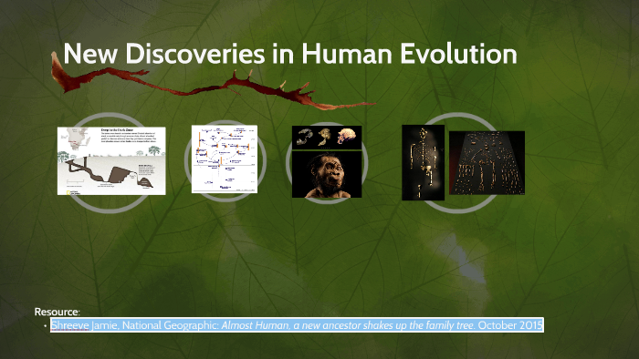 New Discoveries in Human Evolution by hannah eikelberg on Prezi