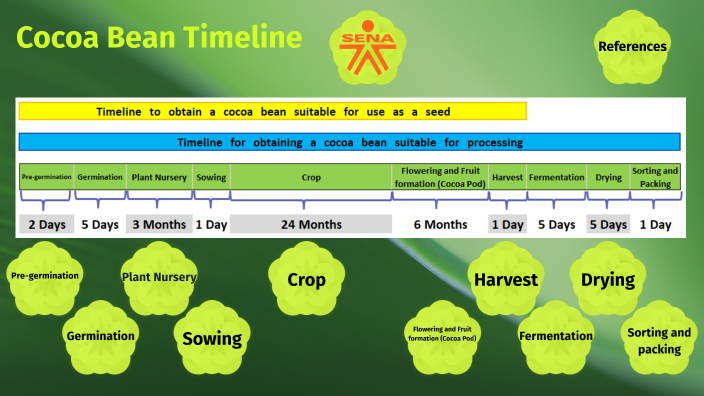 Cocoa bean timeline by Nestor Gómez on Prezi
