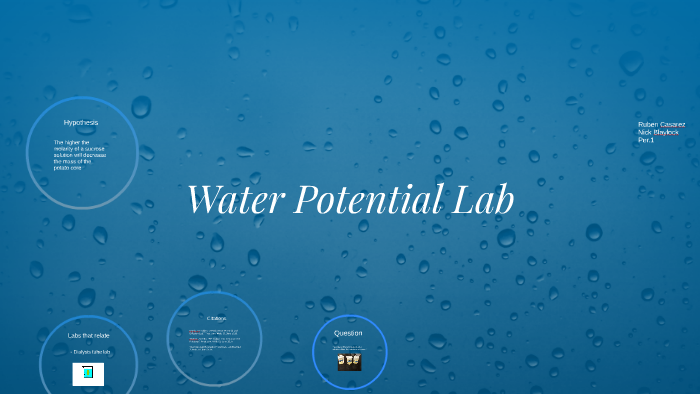 AP Bio Potato Molarity Lab by Ruben Casarez on Prezi