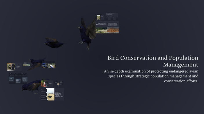 Bird Conservation and Population Management by shirish manchi on Prezi