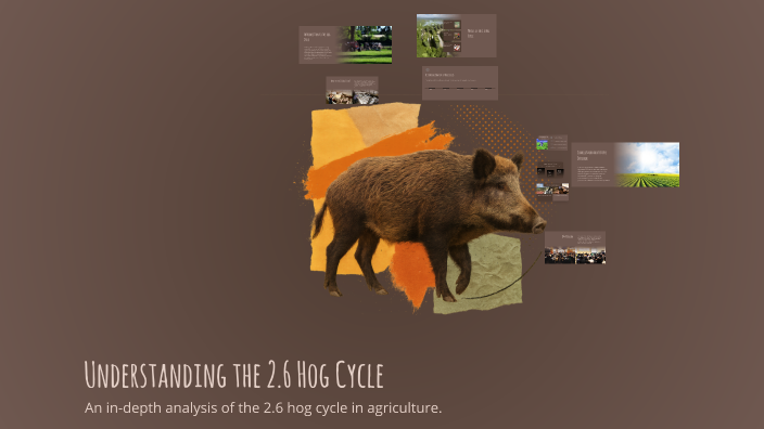 Understanding the 2.6 Hog Cycle by Philip Briford on Prezi