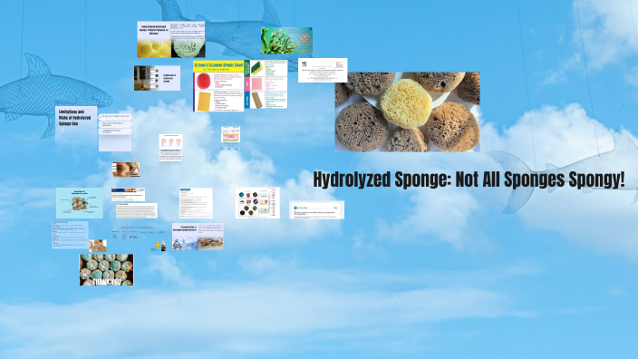 Hydrolyzed Sponge: Not All Sponges Spongy! by Nour Hisham on Prezi