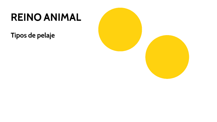 REINO ANIMAL by Daniela Riera on Prezi