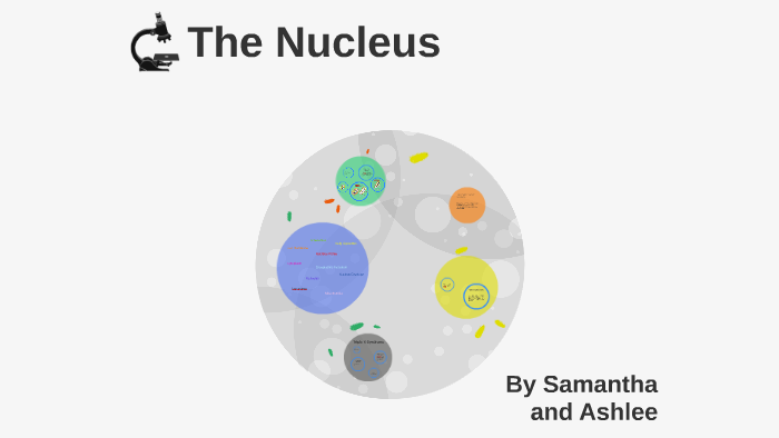 The Nucleus by Ashlee Walsh on Prezi
