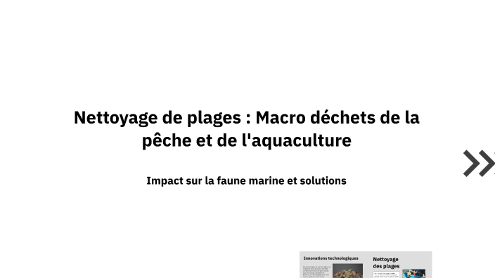 Nettoyage de plages : Macro déchets de la pêche et de l'aquaculture by ...