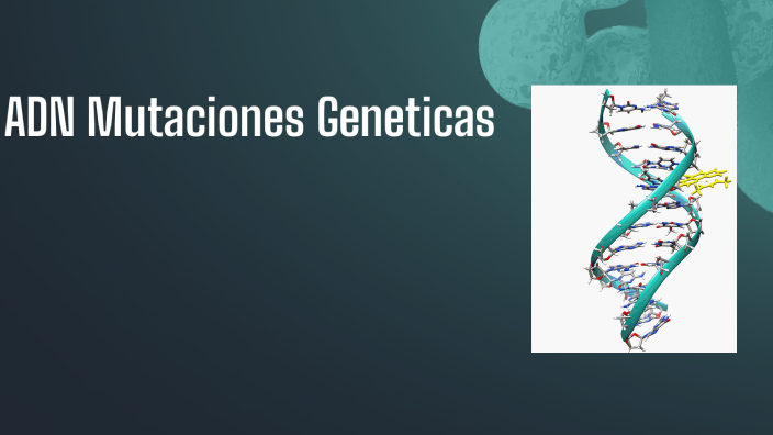 Explorando el ADN y las Mutaciones by DIEGO ALEJANDRO RUIZ AVENDANO on ...