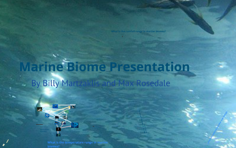 Marine Biome Presentation by William M on Prezi