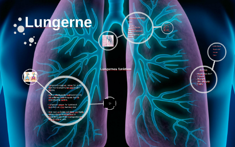 Lungerne by Karoline Hansson on Prezi