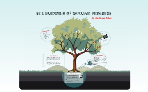The Blooming of William primrose by Mia Henry-Fisher on Prezi