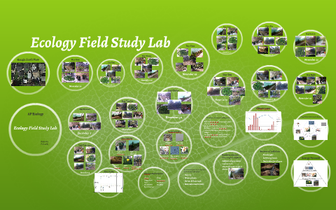Ecology Field Study Lab by Ruby Ma on Prezi