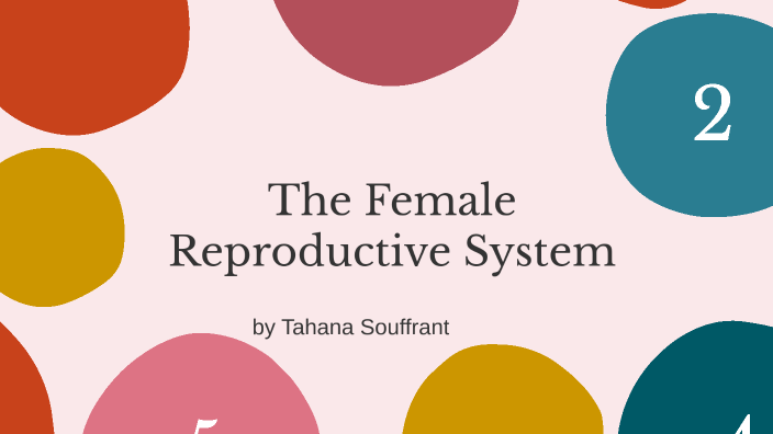 Understanding the Female Reproductive System by Tahana Souffrant on Prezi