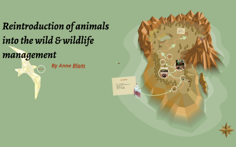 Reintroduction of animals into the wild by on Prezi