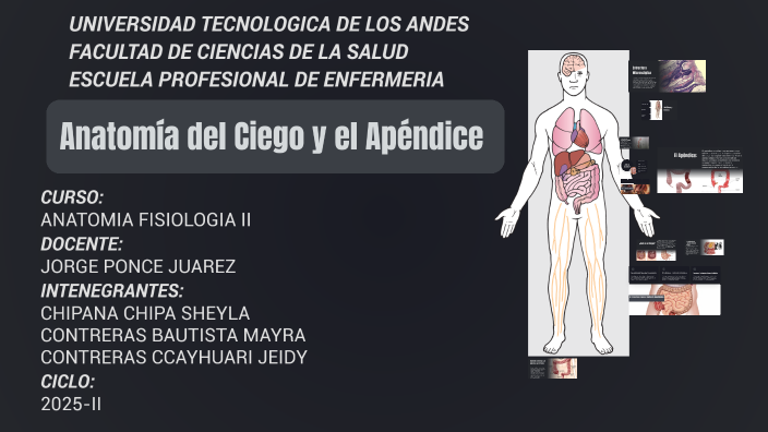 Anatomía del Ciego y el Apéndice Vermiforme by Jeyy Ahr on Prezi
