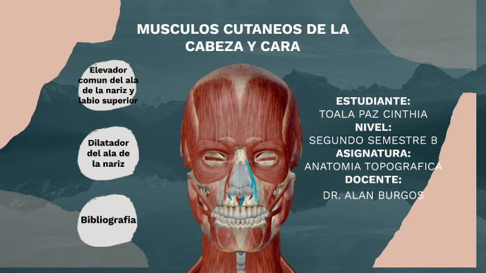 Dilatador de labios y nariz by cinthia on Prezi