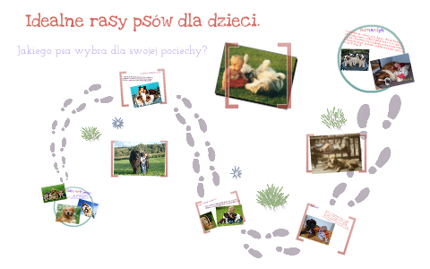 idealne rasy psów dla dzieci by Paulina Ola on Prezi
