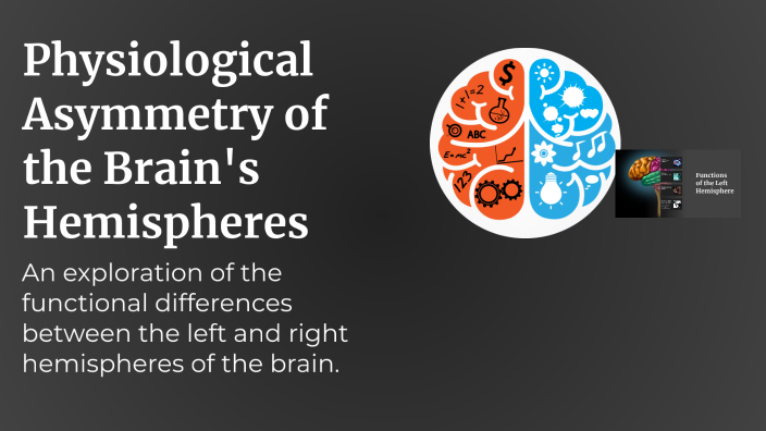Physiological Asymmetry of the Brain's Hemispheres by Kdndbsn Jejell on ...