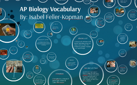 AP Biology Vocabulary by Isabel Feller-Kopman on Prezi