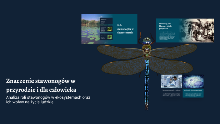 Znaczenie stawonogów w przyrodzie i dla człowieka by Daniel Lipowski on ...