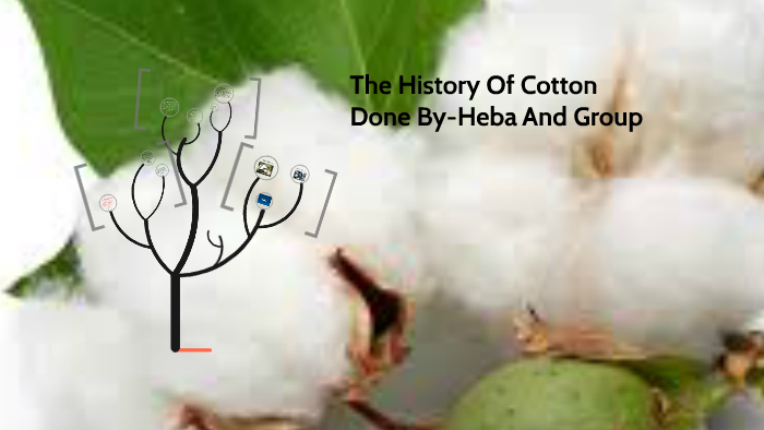 The History Of Cotton by on Prezi