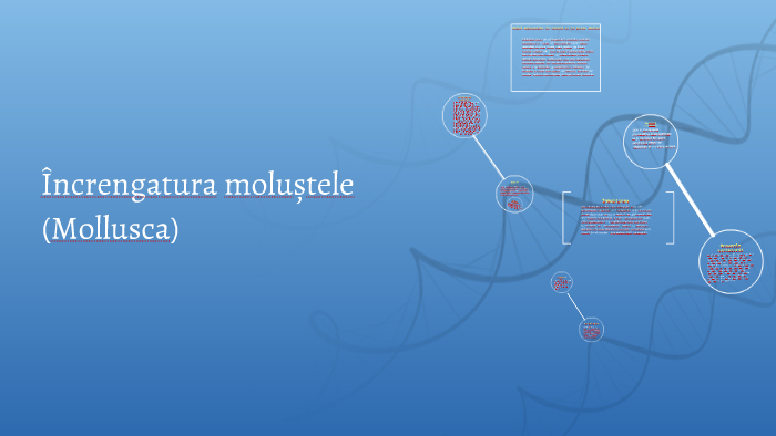 Încrengatura moluste (Mollusca) by Alinna Burlacu on Prezi